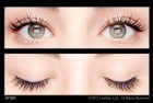 An Alternative to Lash Extensions – LashDip for Lush Lashes - My Life ...